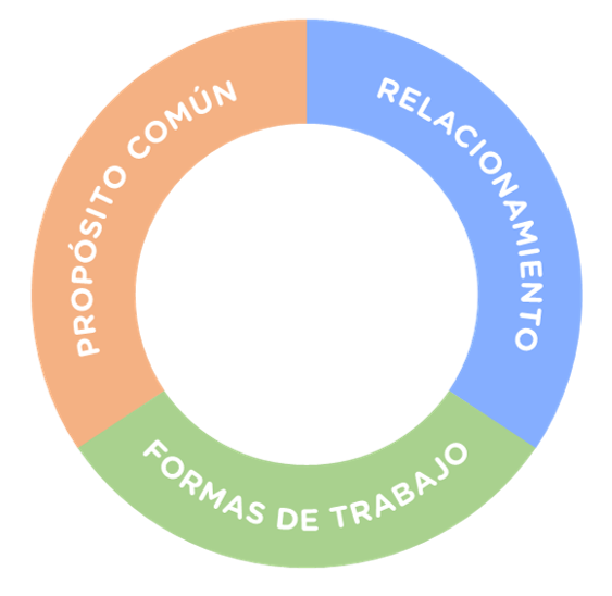 Equipos – Conex Consulting